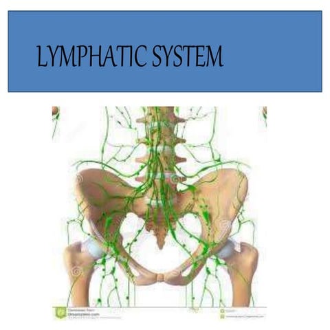 Lymphatic system.ppt