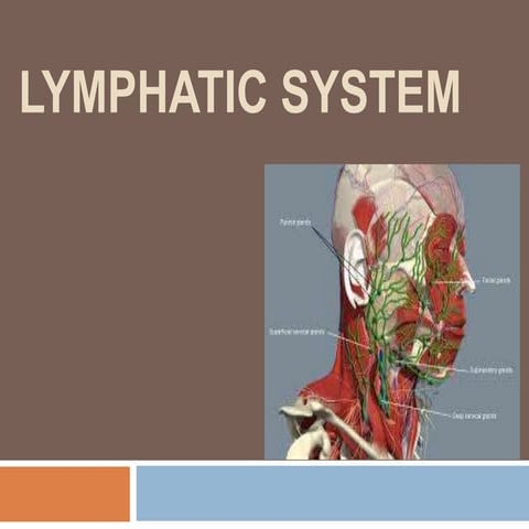 lymphatic_system Lymphatic System in Cardiovascular Medicine.ppt