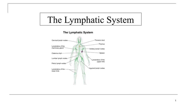 Lymphatic system-----(Physiology) | PPTX