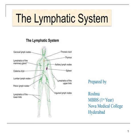 Lymphatic System for medical and biology students | PPTX