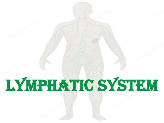 Lymphatic system: Anatomy and Physiology | PPTX