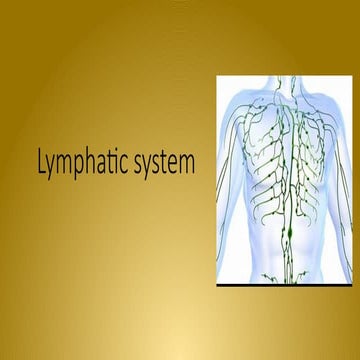 lymphatic system....................pptx