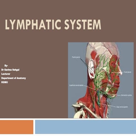Lymphatic system ppt | PPT