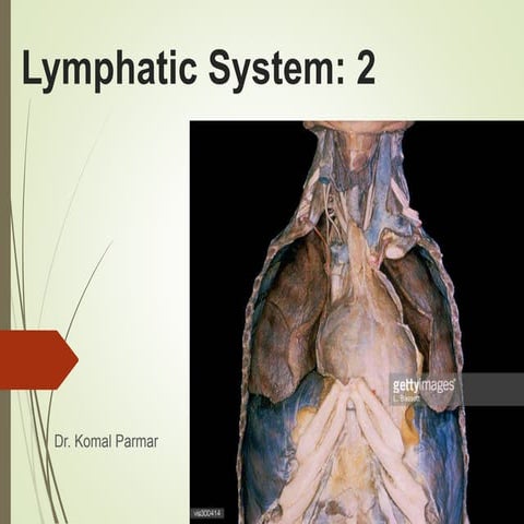 Lymphatic system- Thymus and MALT | PPTX