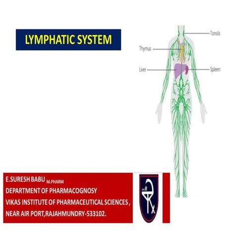LYMPHATIC SYSTEM 2022 | PPT