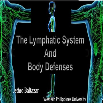 Human Anatomy and Physiology - Lymphatic system and body defenses | PPTX