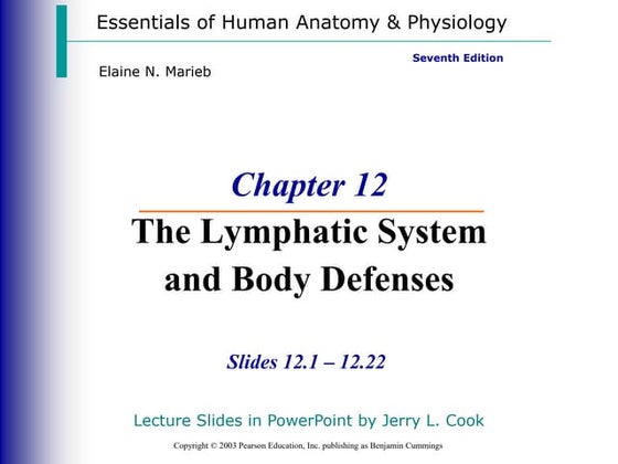 Lymphatic System Notes | PPT