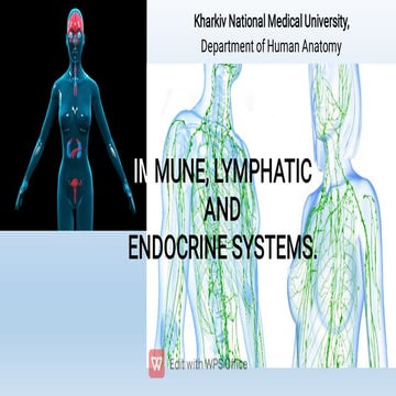 Endocrine and Lymphatic System | PPTX