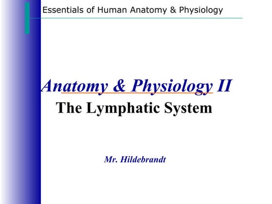 Lymphatic system: Anatomy and Physiology | PPT
