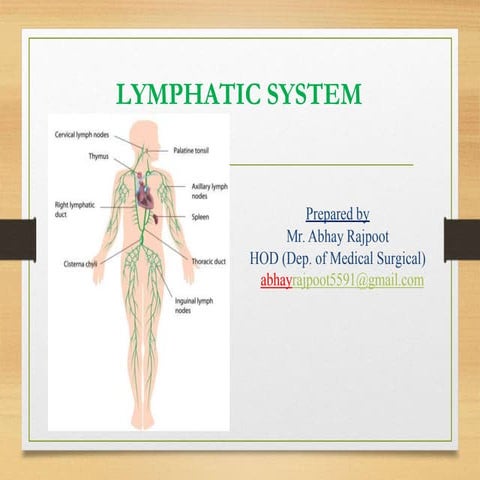 Lymphatic System Anatomy And Physiology