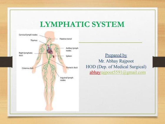 Lymphatic system-ppt | PPTX | Ear, Nose and Throat Conditions | Diseases and Conditions