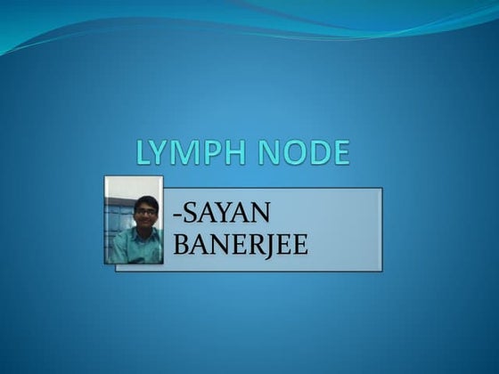 Lymph Node - A Histologcal Overview | PPTX | Biological Sciences | Science