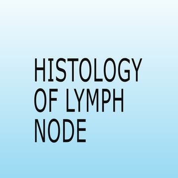 Comprehensive Histology and Structure of the Human Lymph Node | PPTX