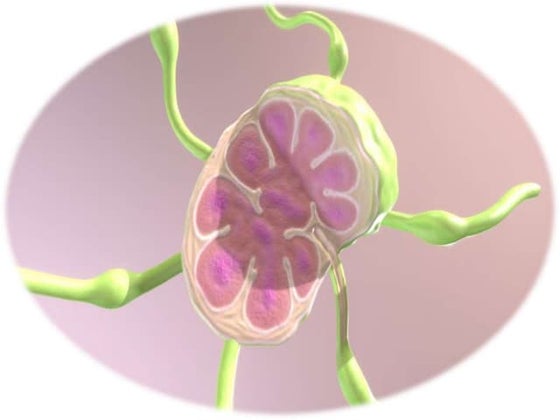 LYMPH NODES AND DRAINAGE OF LYMPH -AN OVERVIEW | PPT