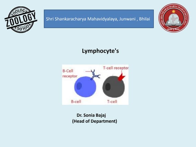 Lymphopoiesis-.ppt