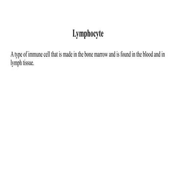 Lymphocytes, its types, functions, roles | PPTX