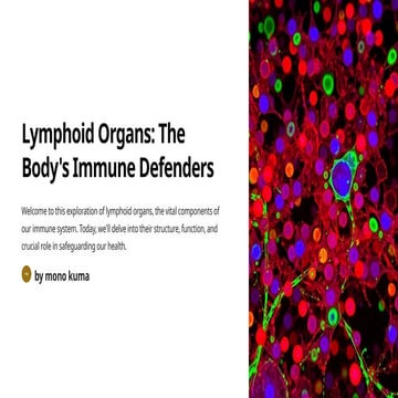 Secondary lymphoid organs | PPTX