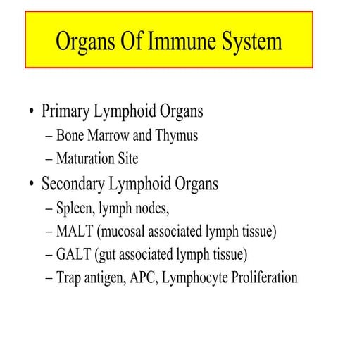 Lymphoid organ | PPT