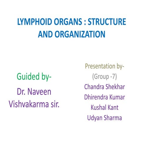 Lymphoid organs | PPT
