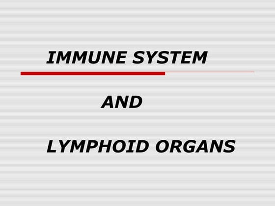 Primary and secondary lymphoid organs | PPT