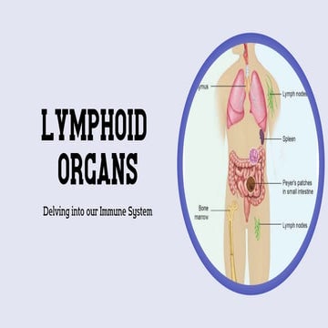 LYMPHOID SYSTEM and organs with structure.pdf