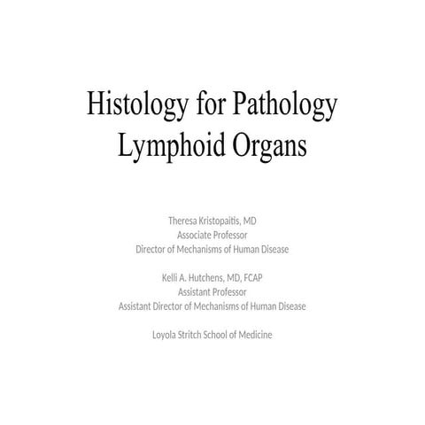 lymphoidtissue.ppt-2025-pptx-presentation | PPT