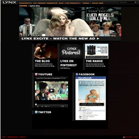 Lynx websitev2 | PDF