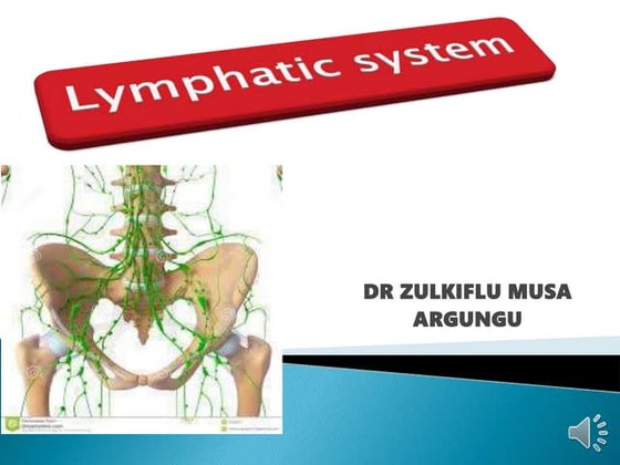 Lymphatic system and physical therapy.pdf