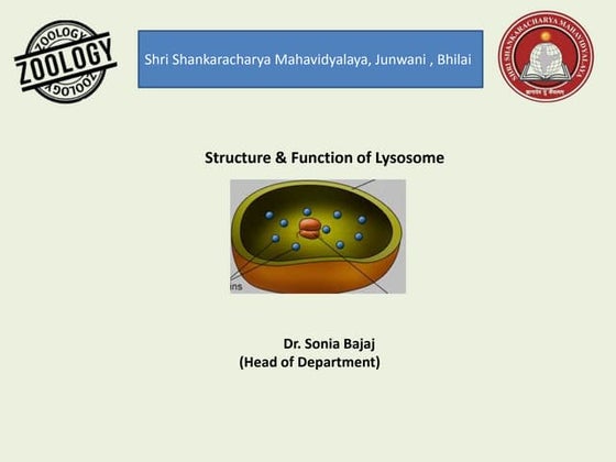 Mitochondria (introduction function & Structure) | PPT