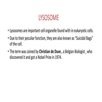 lysosome anatomy.pptx