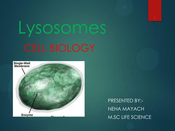 Lysosome | PPTX