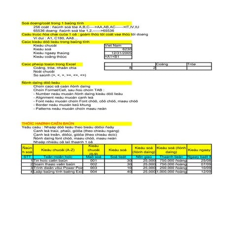 Ly Thuyet Va Bai Tap Excel | PDF