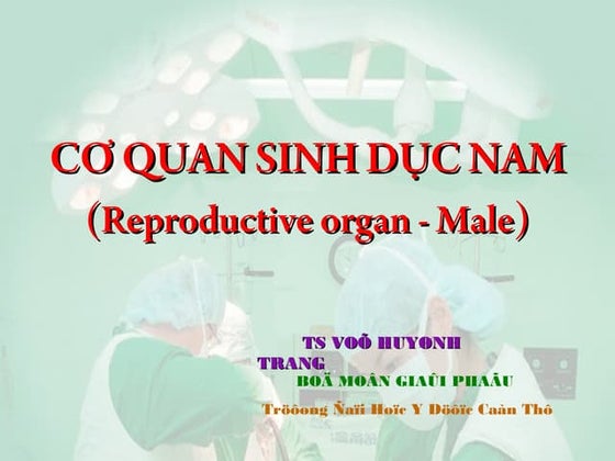 Giai phau he sinh duc | PPT