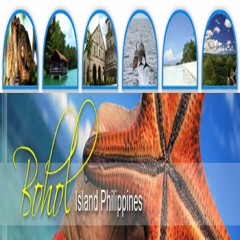 BOHOL | PPT