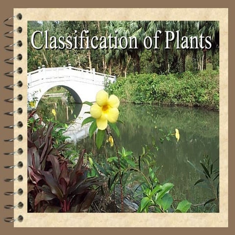Classification of Plants | PPT