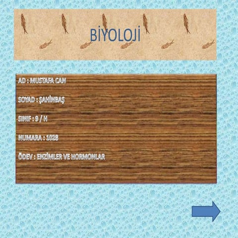 Biyokimya (hazir notlar) | PDF