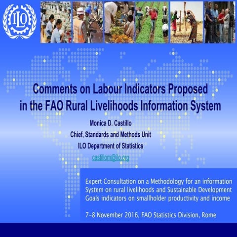 Comments on Labour Indicators Proposed in the FAO Rural Livelihoods ...