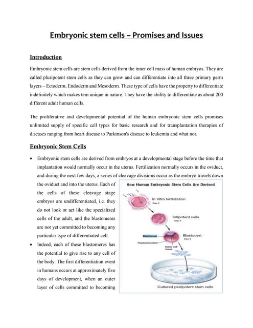Ethical and Social consideration of Stem Cell Research | PPTX ...