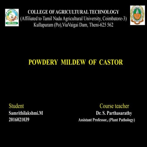 POWDERY MILDEW OF CASTOR | PPTX