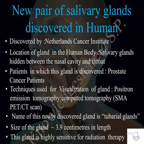 New Pair Of Salivary Glands Discovered In Human Body Ppt