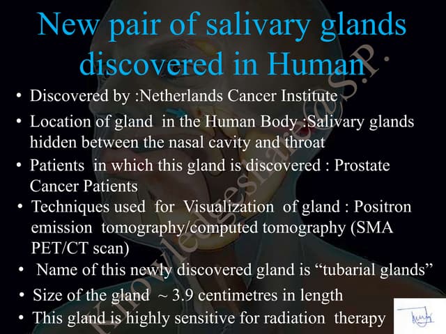 New Pair Of Salivary Glands Discovered In Human Body Ppt