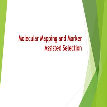MARKER ASSISTED SELECTION | PPTX
