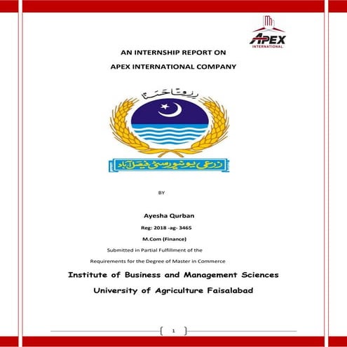 Apex International Intership Report | PDF