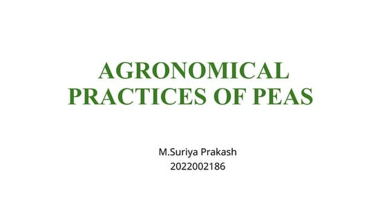 Broad bean by harmanjeet | PPT