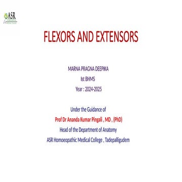 Flexion and extension movement in anatomy. | DOCX