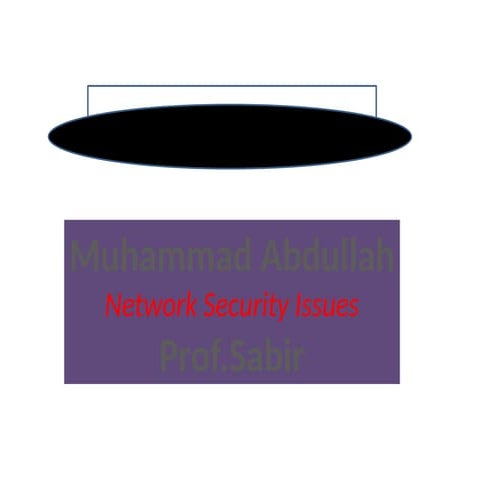 M.Abdullah-BSCS(2023-27).pptx #Abdullah Saith #network security issue | PPT
