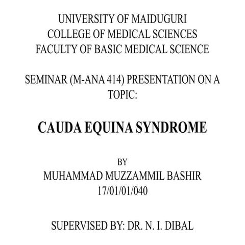 M-ANA 414 17-40 Cauda Equina by Muzzammil.pptx