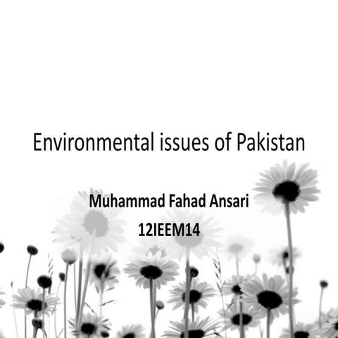 Environmental issues of Pakistan by By MUHAMMAD FAHAD ANSARI 12 IEEM 14 ...