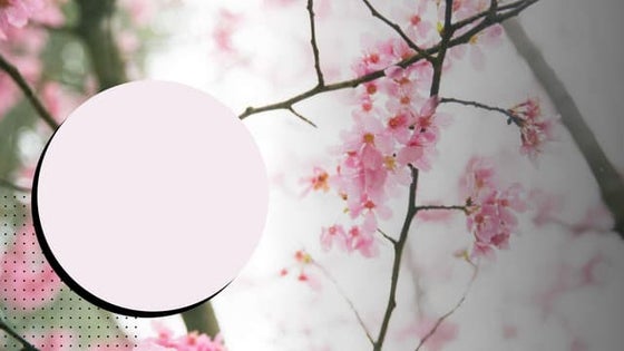 ENGLISH MELCs Grade 10 pdf version deped | PDF