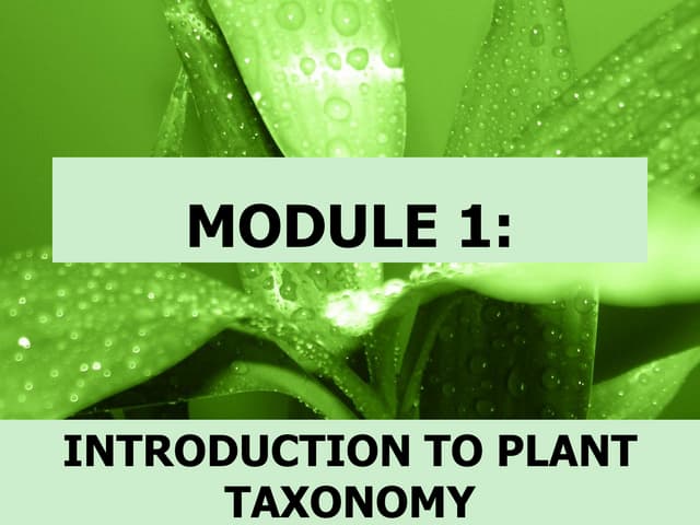 Plant taxonomy | PPT